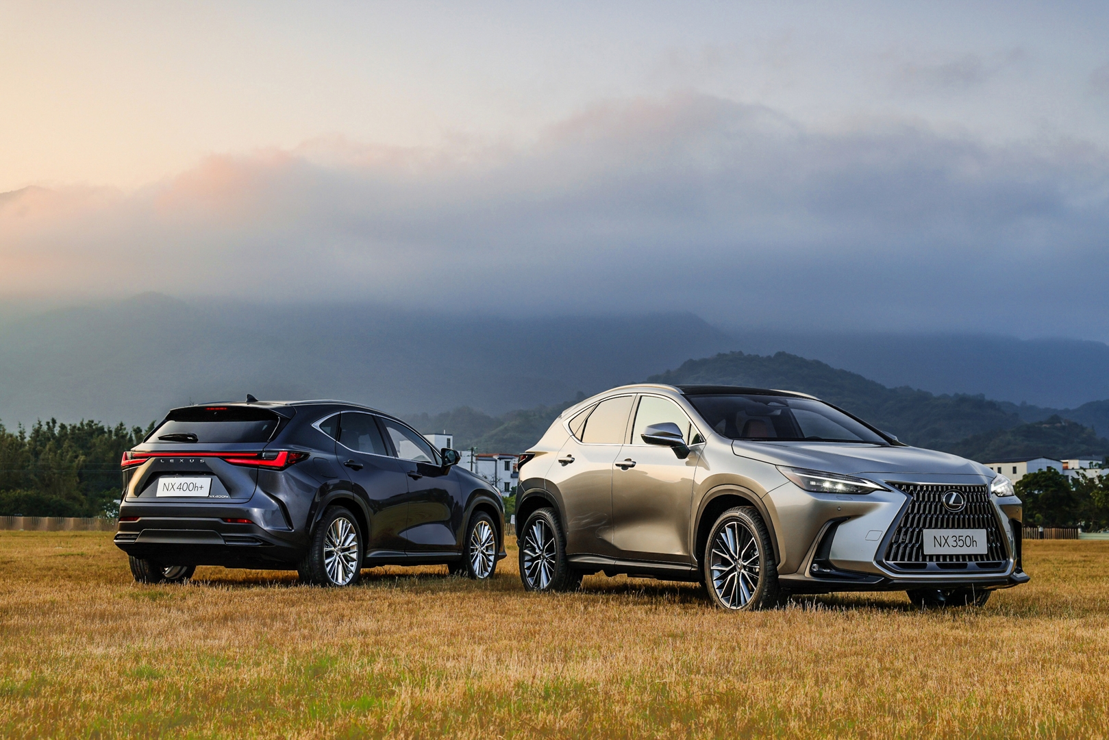 Lexus NX 350h launched: Hybrid future - Motoring World